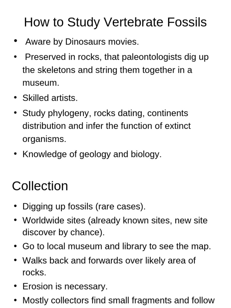 Fossil Collection | PDF