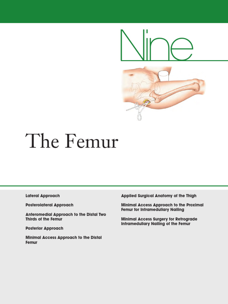 Surgical Approaches to the Femur | PDF | Knee | Hip