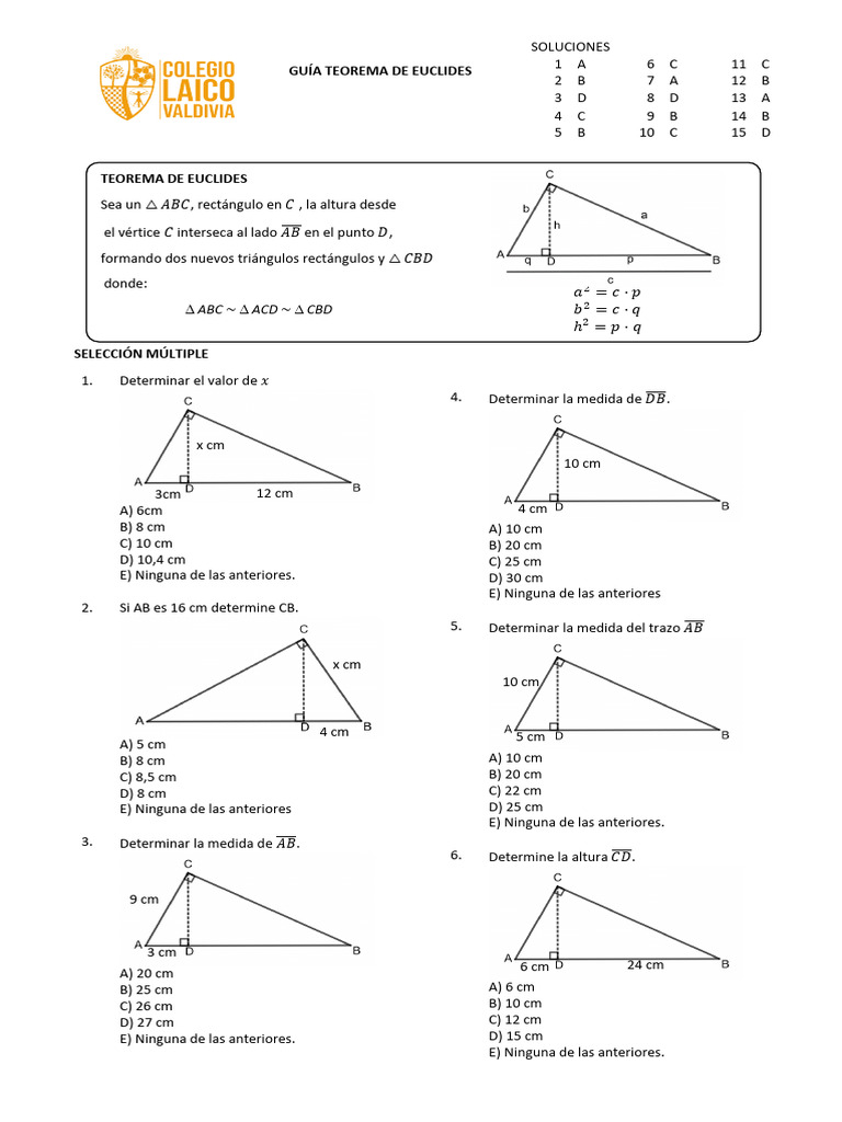 Guía Teorema de Euclides (Soluciones) | PDF | Euclides | Formas geométricas