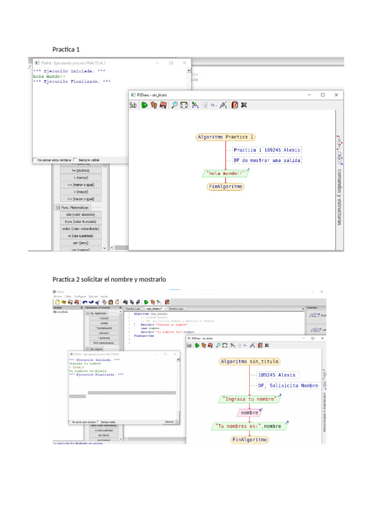 Practicas de Fundamentos de Programacion | PDF