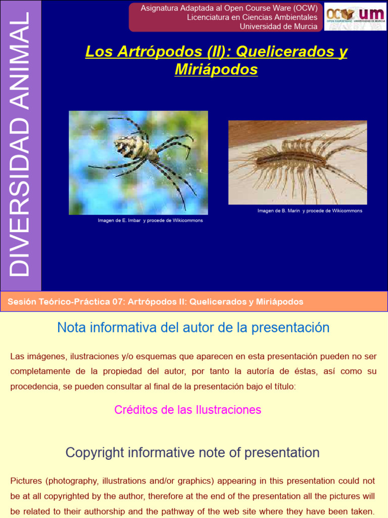 Artrópodos II: Quelicerados y Miriápodos | PDF | Araña | Primeras ...