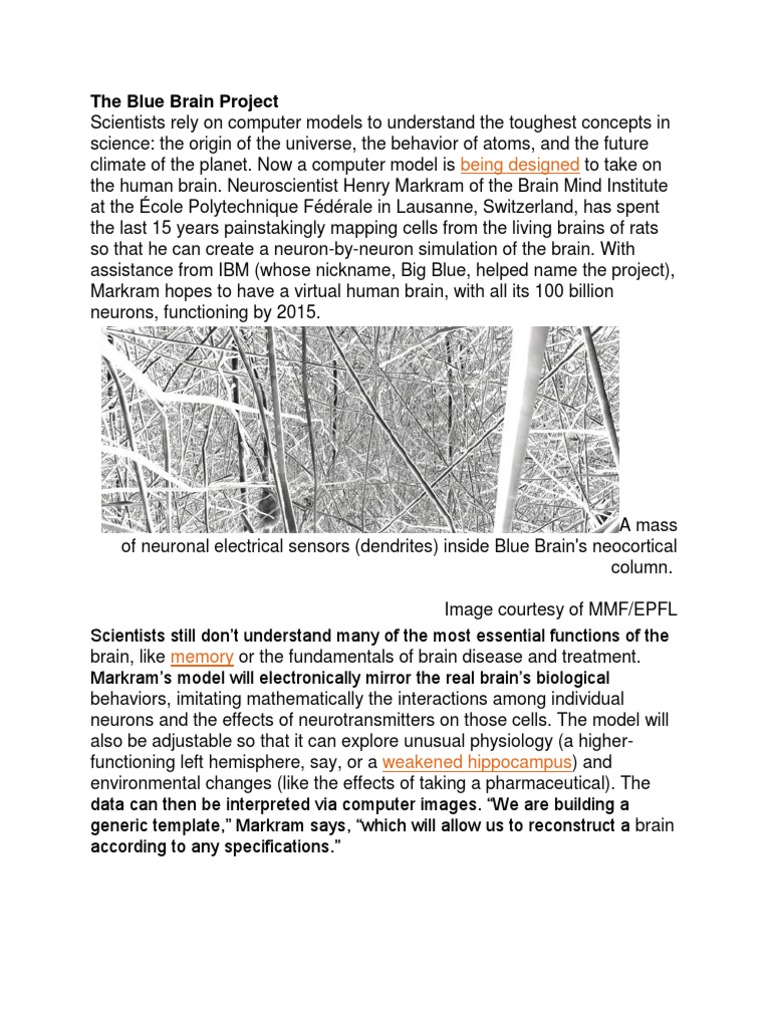 Blue Brain Project: Mapping Human Neurons | PDF | Brain | Science