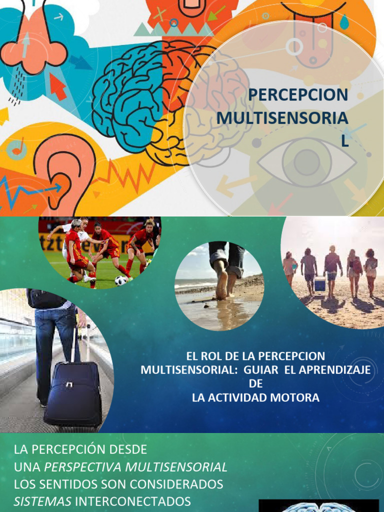 Percepción Multisensorial y Aprendizaje | PDF | Sentidos | Percepción