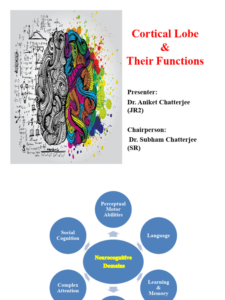 Cortical Functions New, Presentation On Cortical Functions of Brain ...
