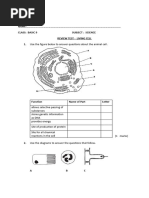 IGCSE Biology: Teeth Structure and Functions | PDF