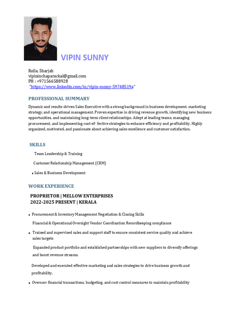 Vipin Sales CV Axis 4 - 251029 - 122047 | PDF