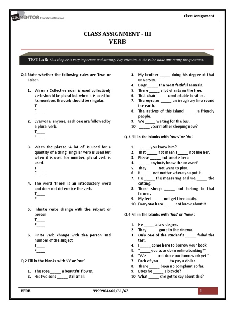 3 Verb Assignment - Edited | PDF | Grammatical Number | Plural