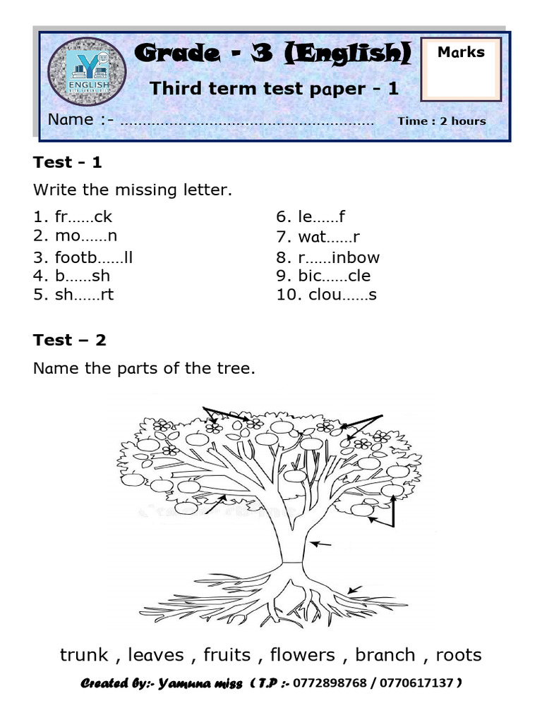 English - Grade 3 SsssPaper - 1) | PDF
