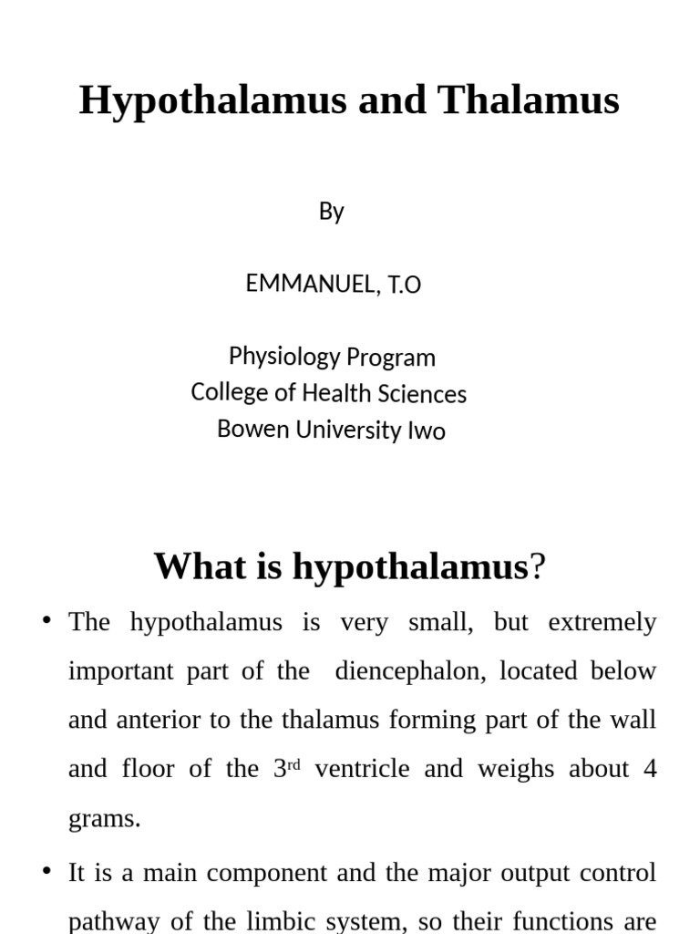 Hypothalamus And Thalamus Pdf Thalamus Hypothalamus
