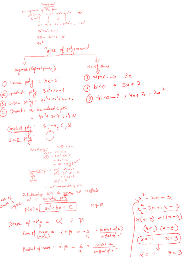 Poly + Quad Classnotes | PDF