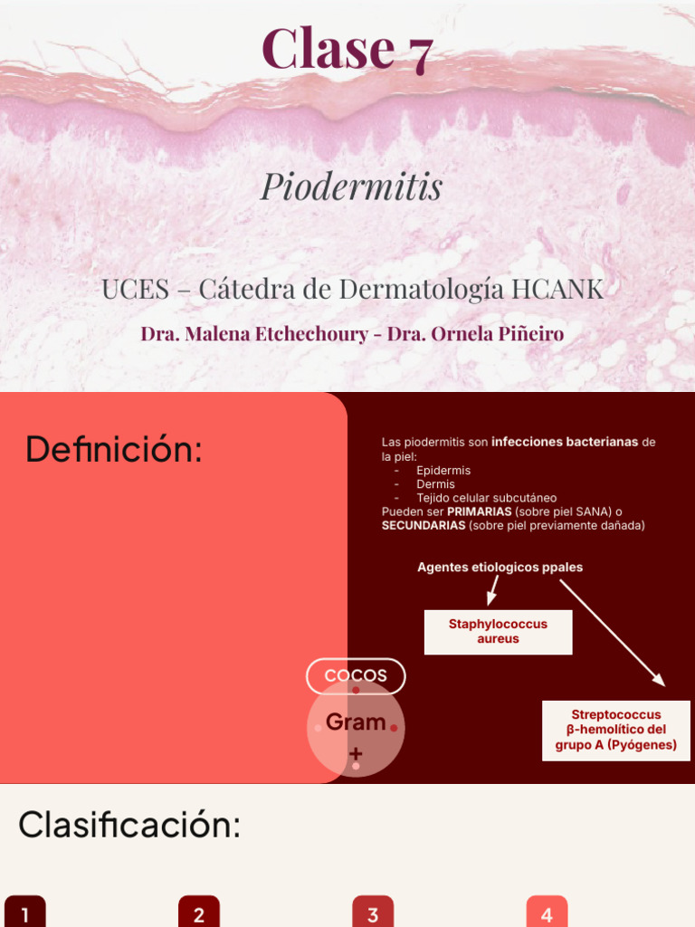 Clase 7 - Piodermitis | PDF | Staphylococcus Aureus | Condiciones cutáneas