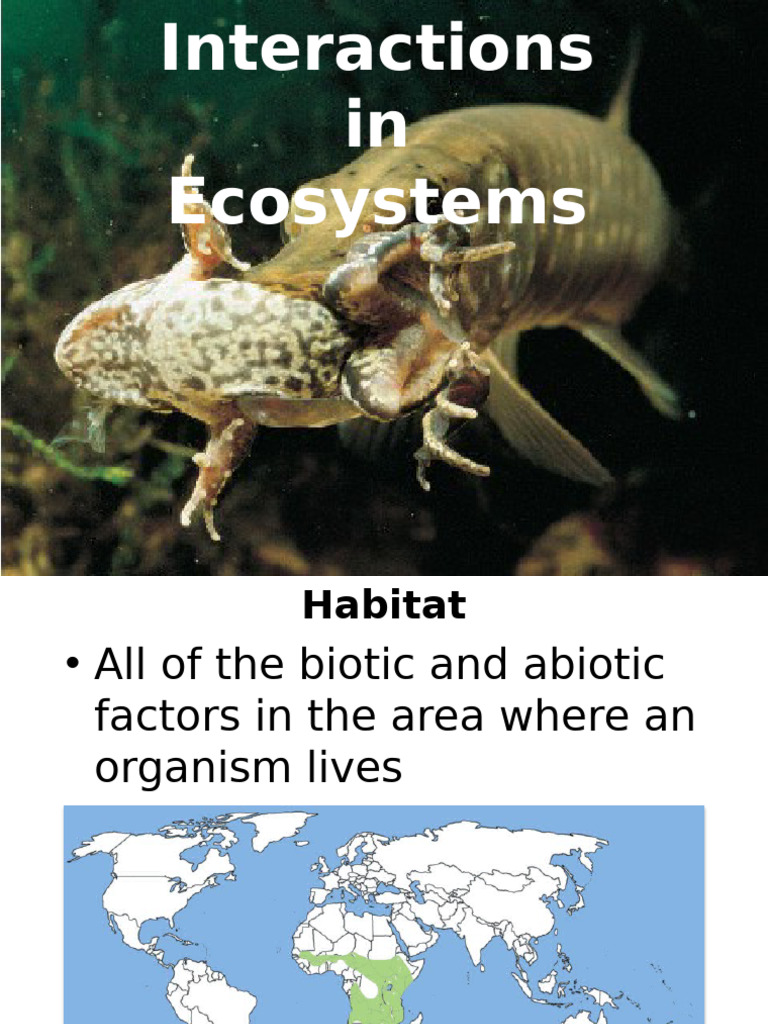 Ecosystem Interactions Explained | PDF