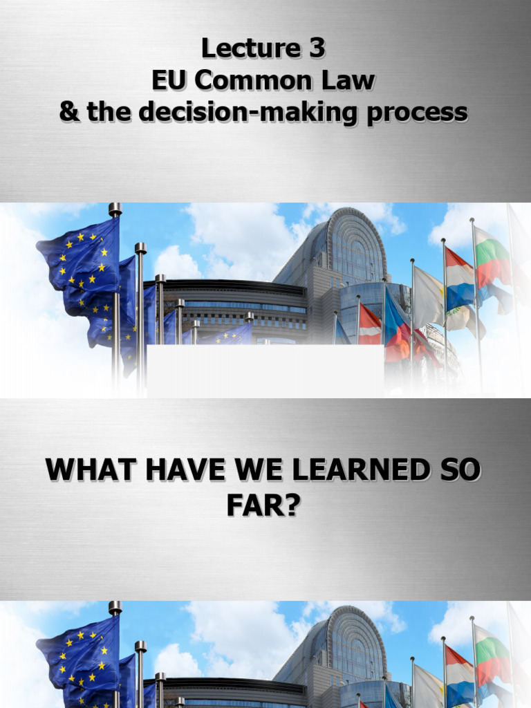 EU Law: Institutions and Decision-Making | PDF | European Court Of ...