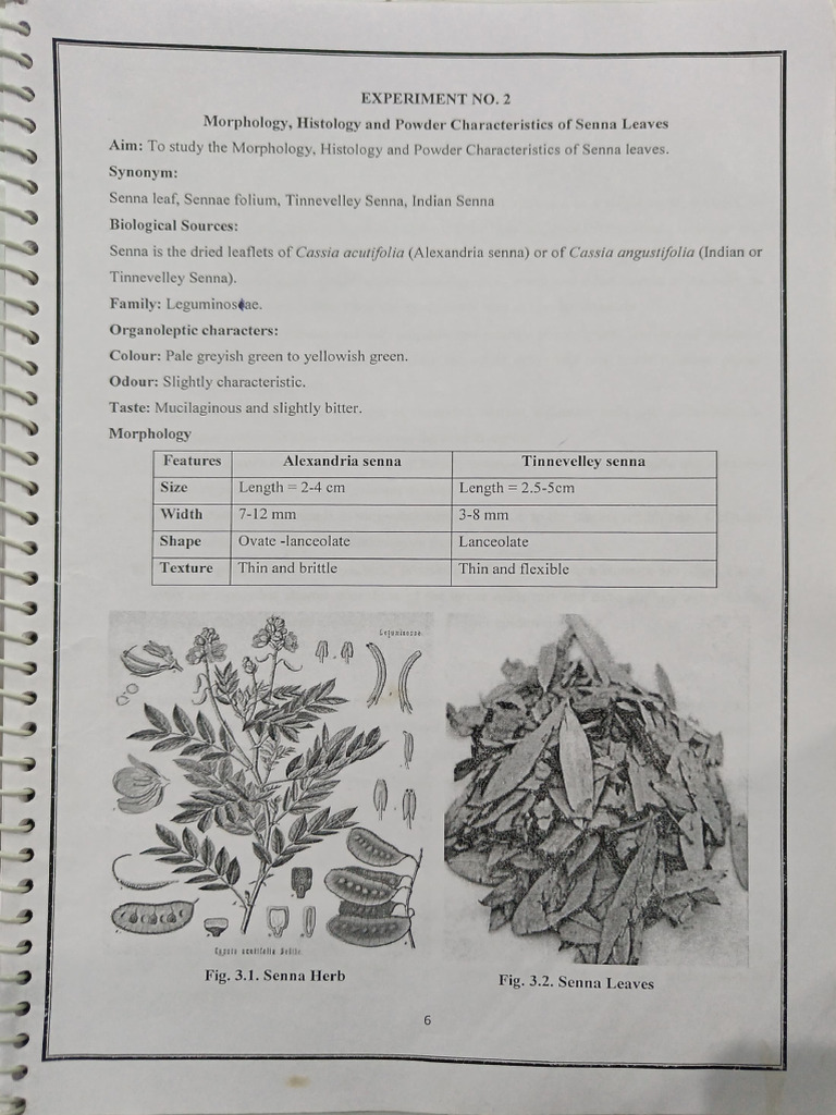 Microscopy of Senna | PDF