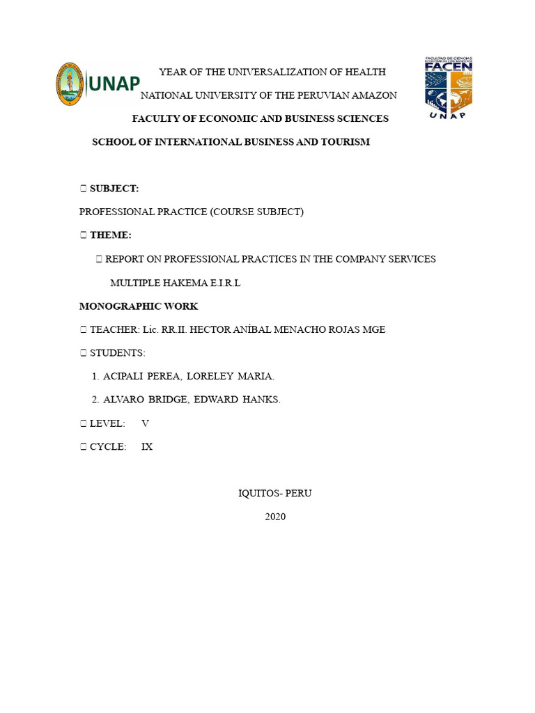 Professional Practice Report at Hakema E.I.R.L | PDF | Experience ...
