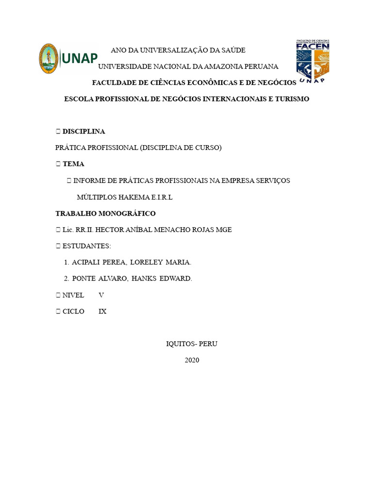 Prática Profissional na Hakema E.I.R.L. | PDF | Marketing | Economias