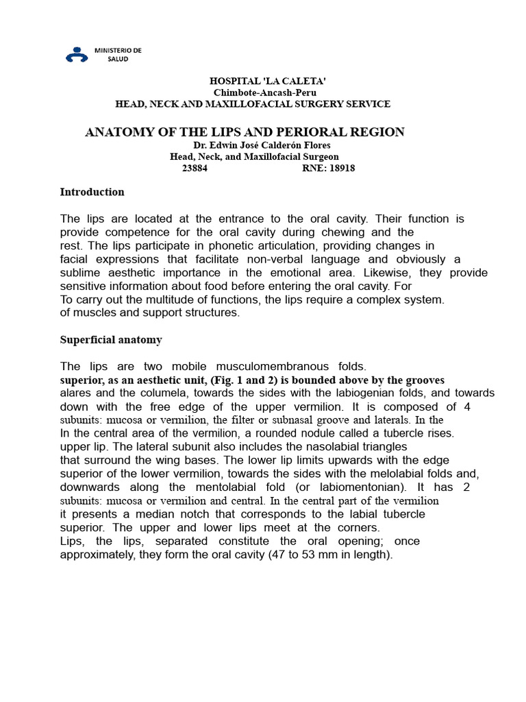 anatomy of the lips and the perioral region | PDF | Lip | Human Nose