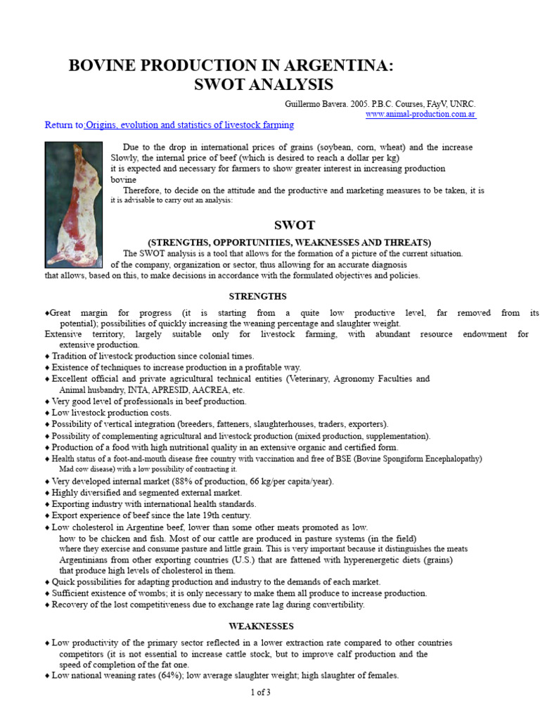 SWOT Analysis of Bovine Production in Argentina | PDF | Beef ...
