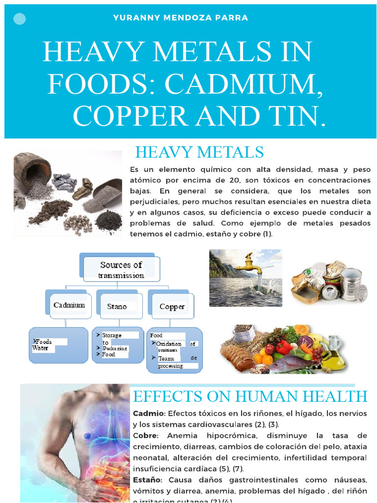 Infographic of Heavy Metals | PDF