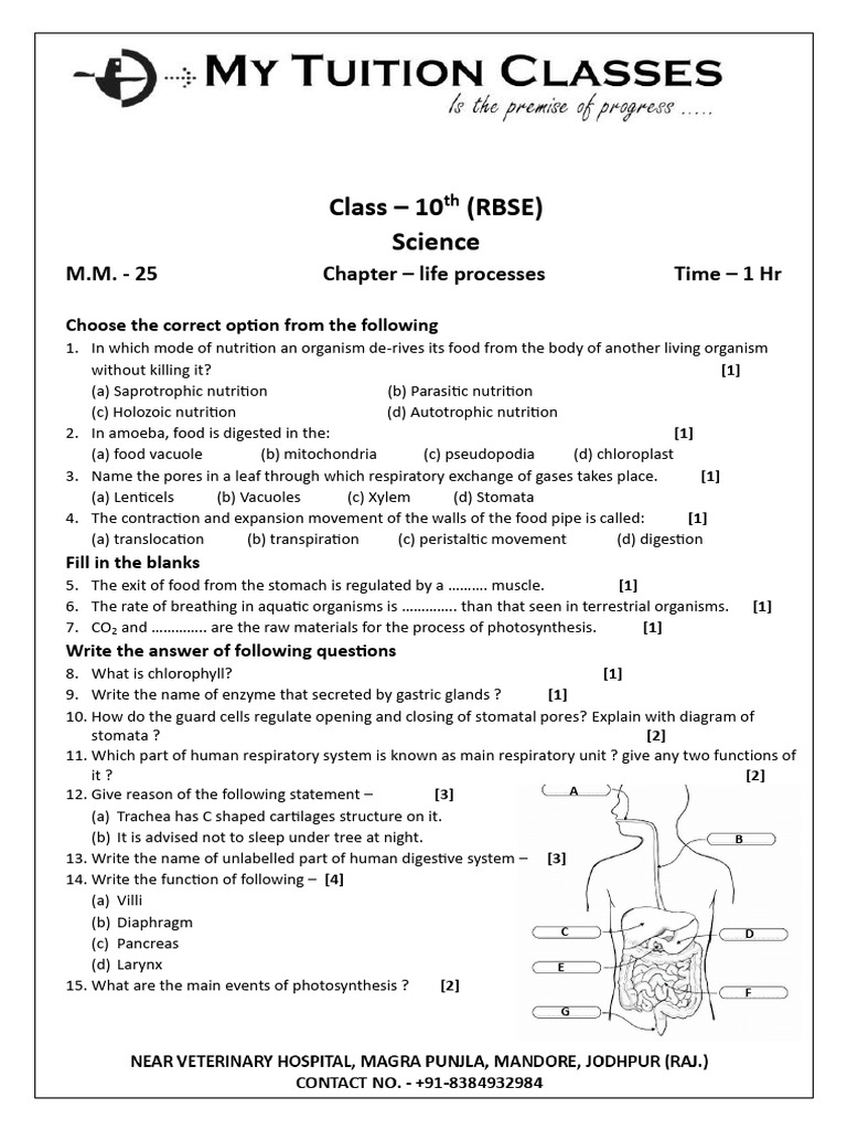 Class 10 Life Processes Nutrition and Respiration | PDF | Stoma ...