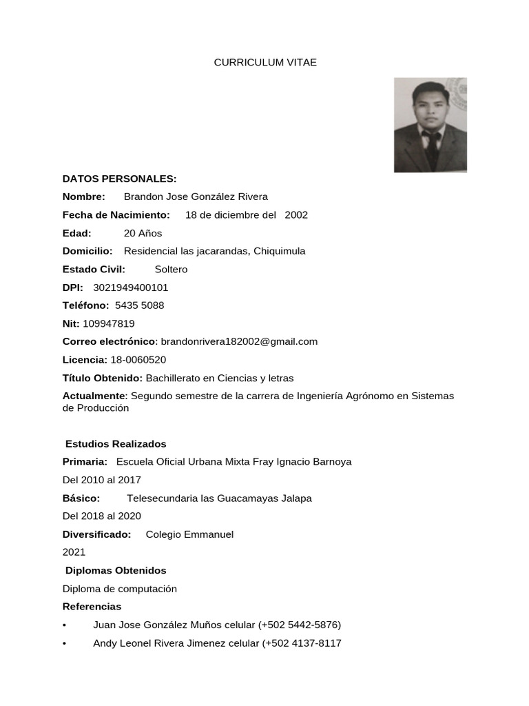 Curriculum Vitae Brandon | PDF