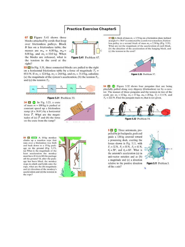 Chapter5 Exercise | PDF