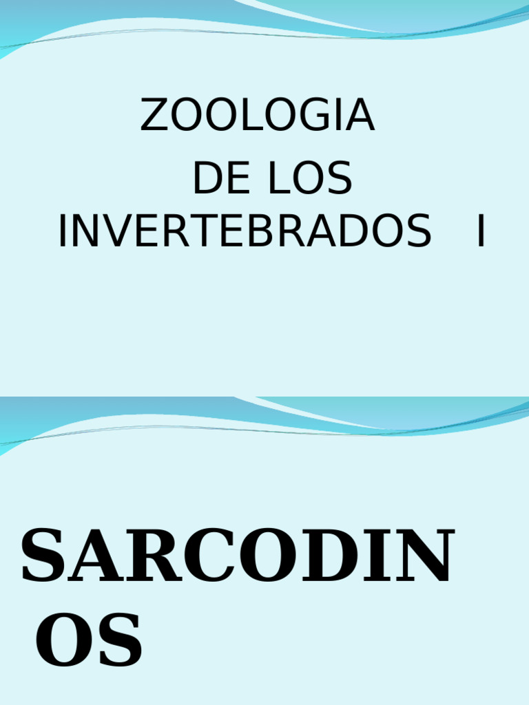 Estructura y Locomoción de Sarcodinos | PDF | Citoplasma | Microtúbulos