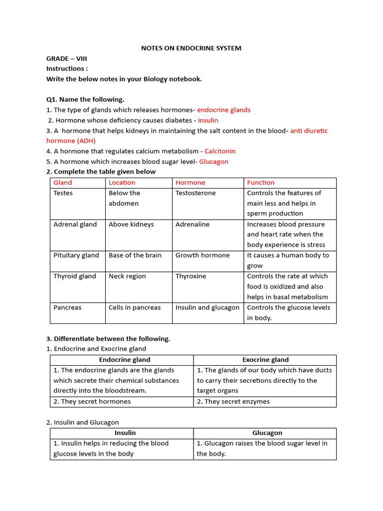 Notes On Endocrine System Grade - Viii Instructions: Write The Below ...