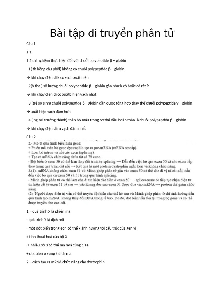 Bài Tập Di Truyền Phân Tử | PDF