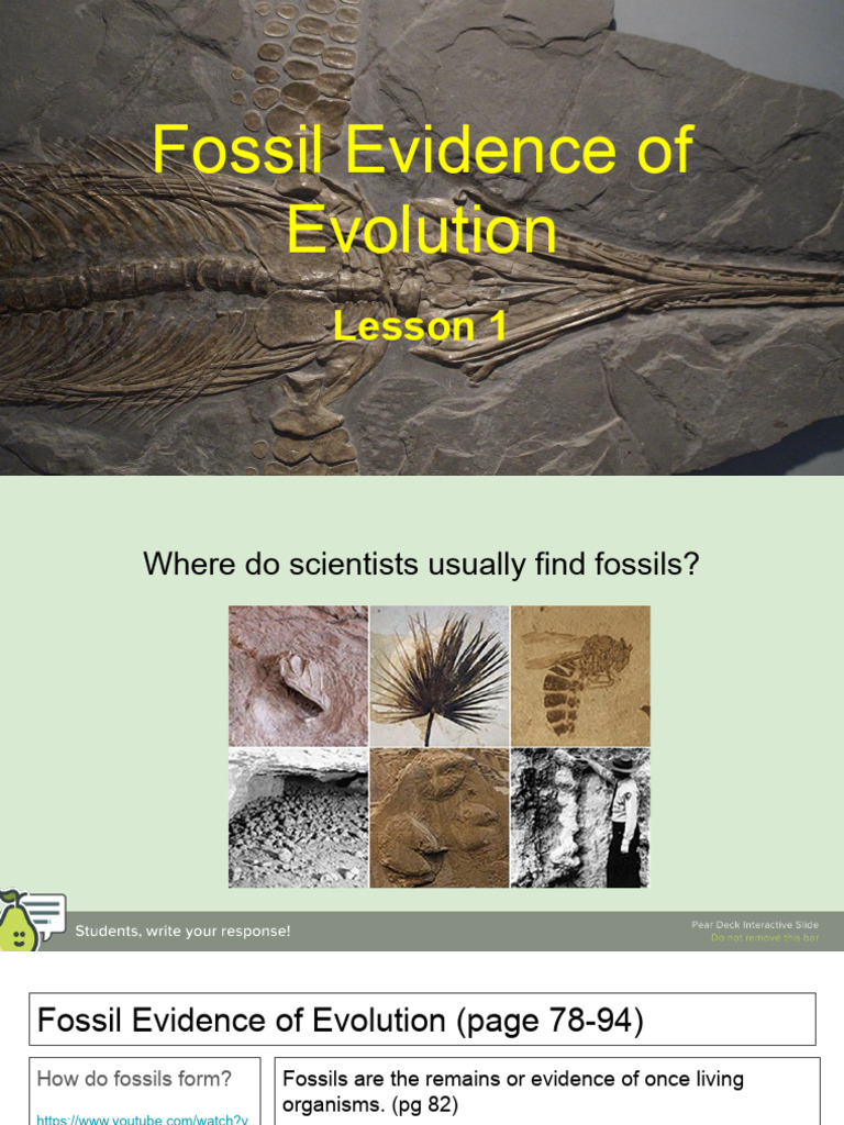 PearDeck - LS-Fossil Evidence of Evolution | PDF | Fossil | Geologic ...