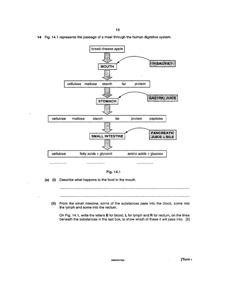 Sda November Revision | PDF