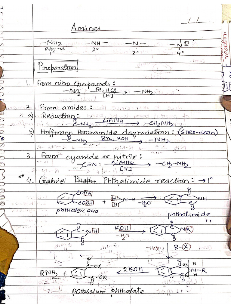 Amines XII Class 12.8.25-13.8.25 | PDF