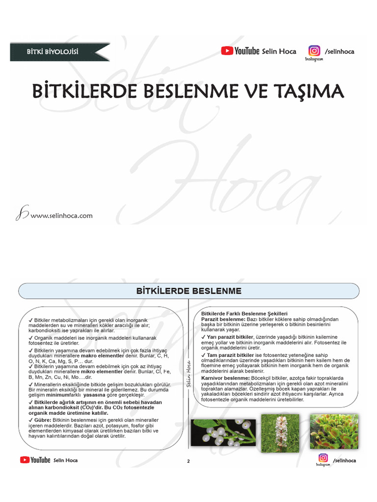 78 Bitkilerde Beslenme Ve Taşıma Konu Anlatım | PDF