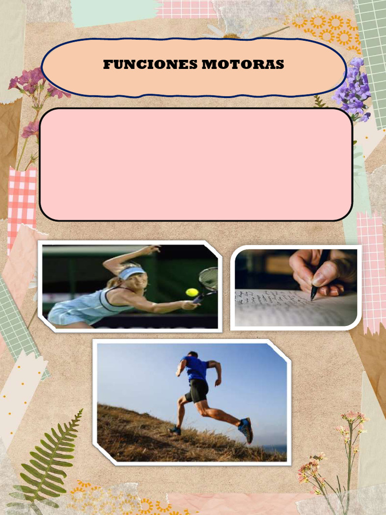 Funciones Motoras: Anatomía y Control | PDF | Cerebro | Neurociencia