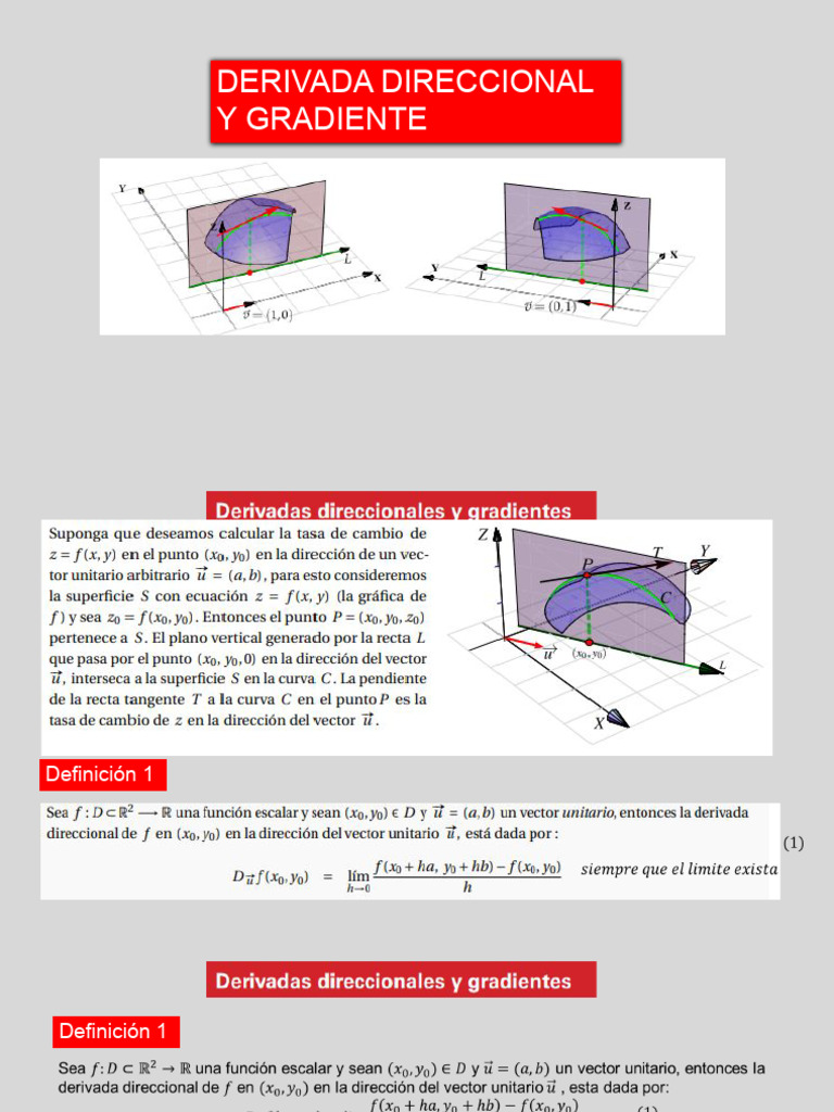 Gradiente Derivada Direccional Pdf