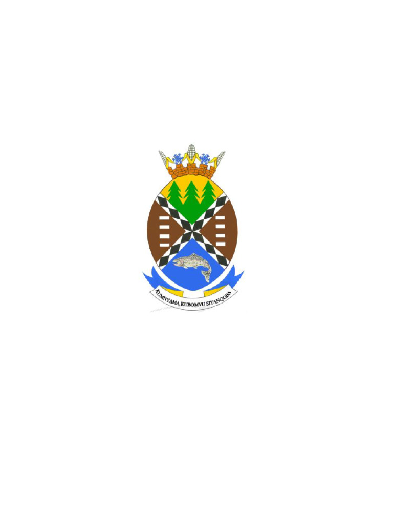 Application Form: Emakhazeni Local Municipality | PDF | Criminal Record ...