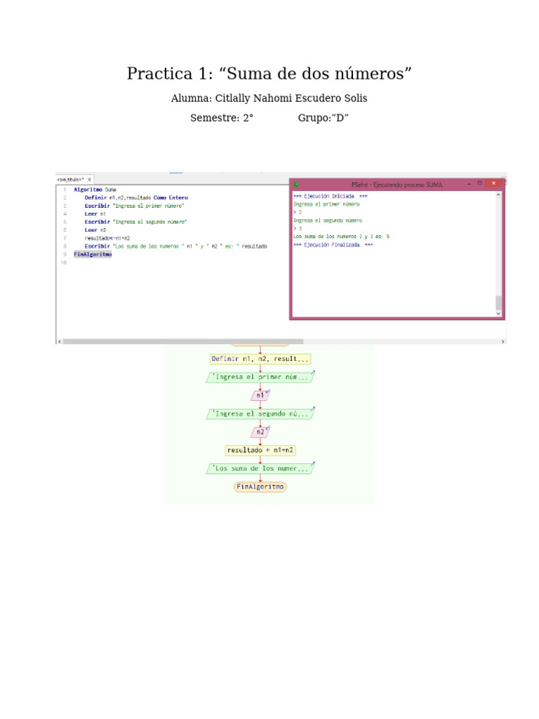 Practicas de Citla | PDF
