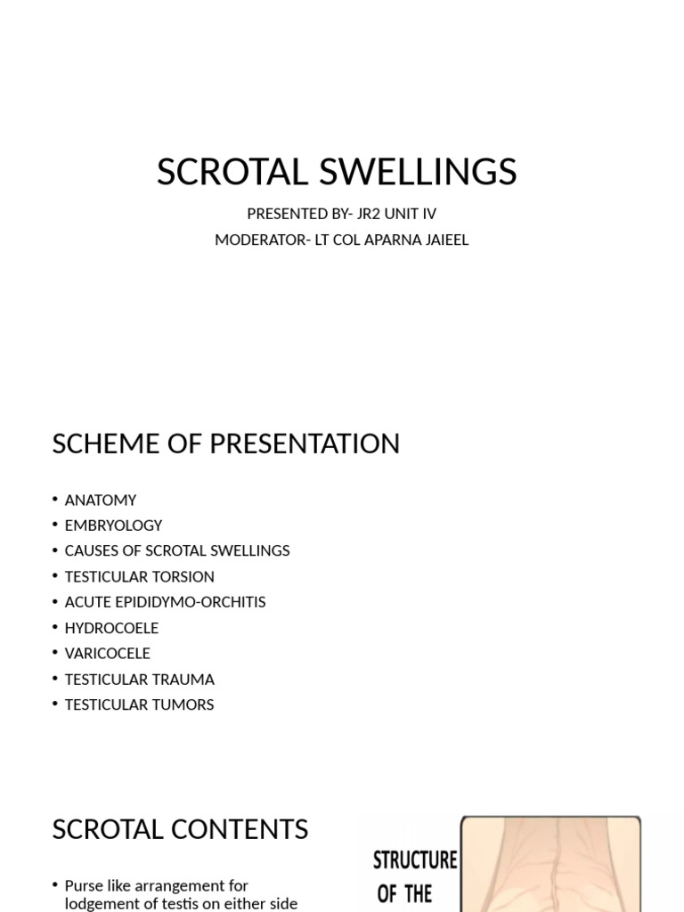 Understanding Scrotal Swellings Causes | PDF | Testicle | Diseases And ...