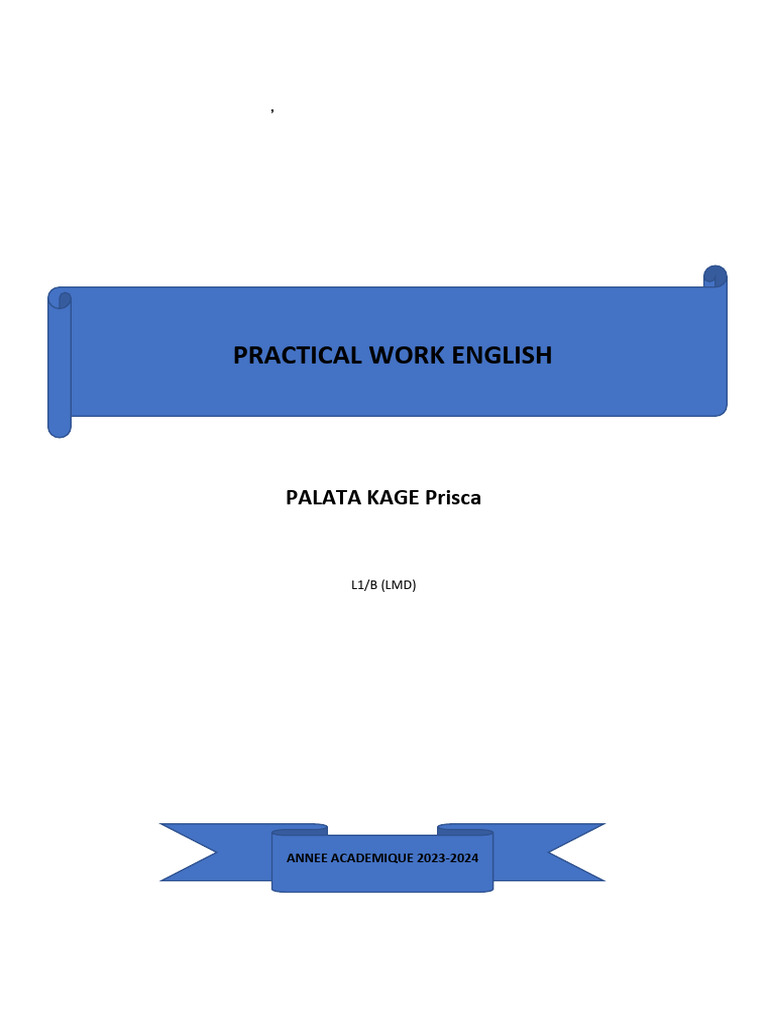 Travail Pratique de Palata | PDF | Computing | Mathematics