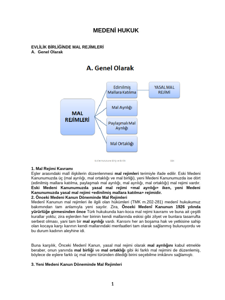 Mal Rejimi Notu | PDF