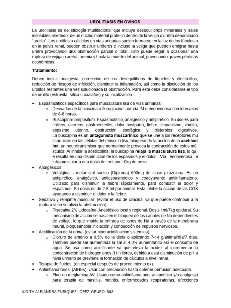 Urolitiasis en Ovinos | PDF | Medicina CLINICA | Especialidades Medicas
