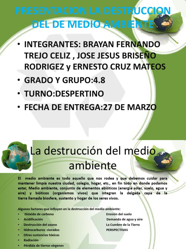 Brian Destruccion Del Medio Ambiente | PDF