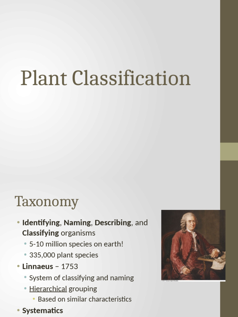 1 Plant Classification | PDF | Organisms | Taxonomy (Biology)