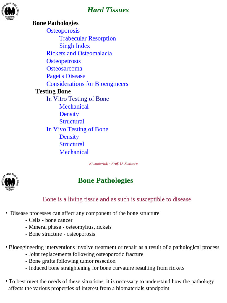 4 (12) Bio Hard Tissues 2 | PDF | Osteoporosis | Bone