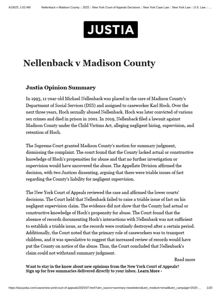 Nellenback V Madison County - 2025 - New York Court of Appeals ...