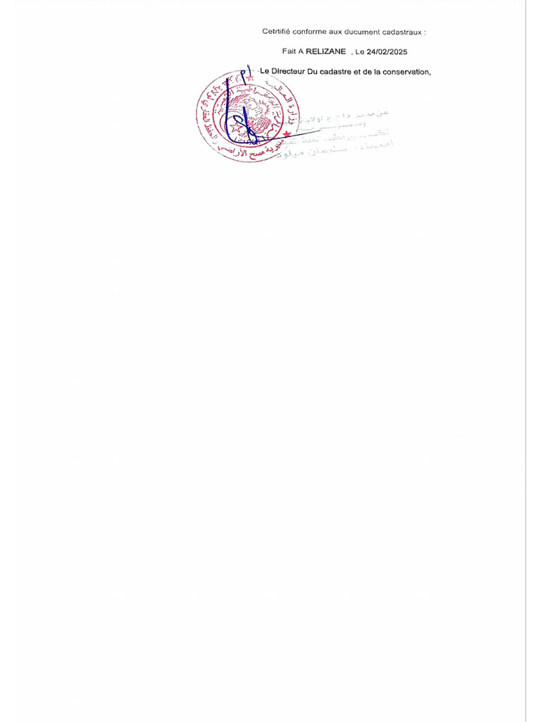 Releve (1) | PDF