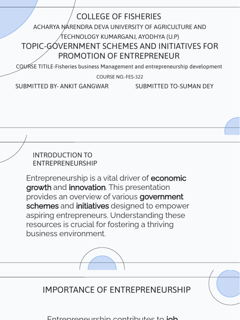 Empowering Entrepreneurship An Overview of Government Schemes and ...