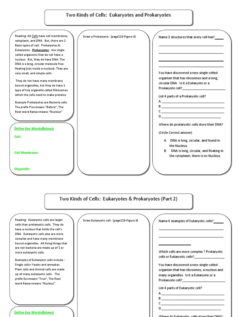 2 Kinds of Cells - SIOP Lesson | PDF | Prokaryote | Cell (Biology)