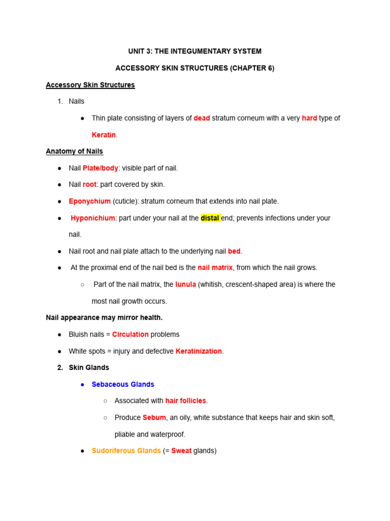 Unit 3 - The Integumentary System | PDF | Hair | Integumentary System