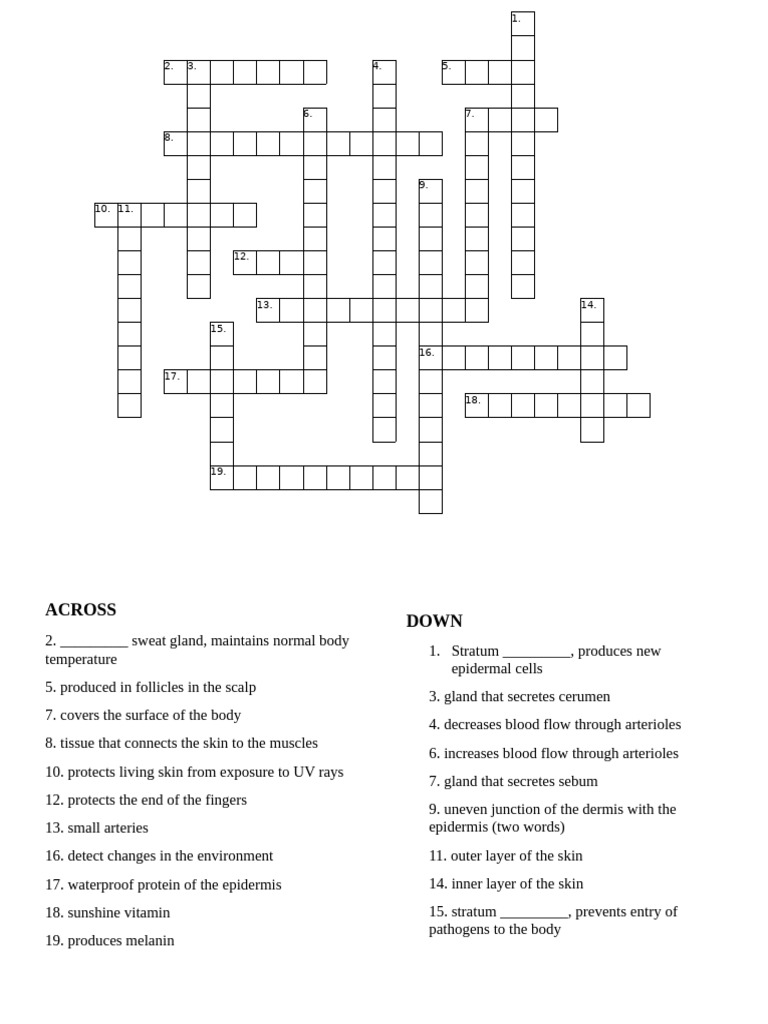 Integumentary System Crossword Puzzle | PDF